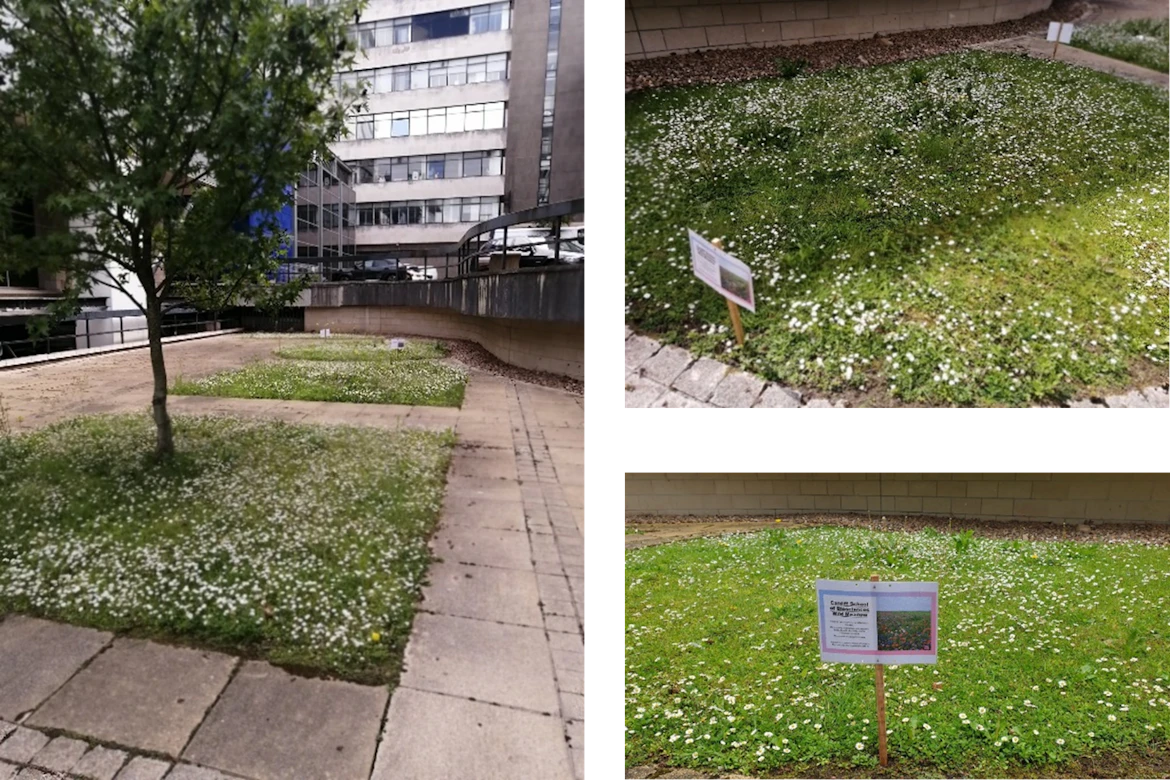 Cardiff University Section 6 Biodiversity Report 2022 - Cardiff University