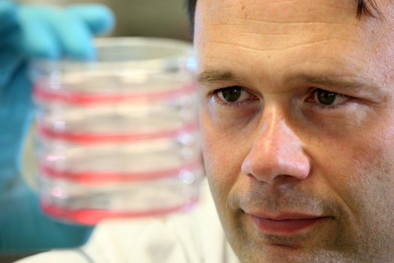 Cancer prognosis and the TEX19 gene - News - Cardiff University