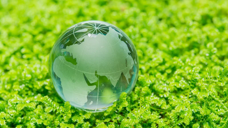 Research at the School of Earth and Environmental Sciences - School of ...