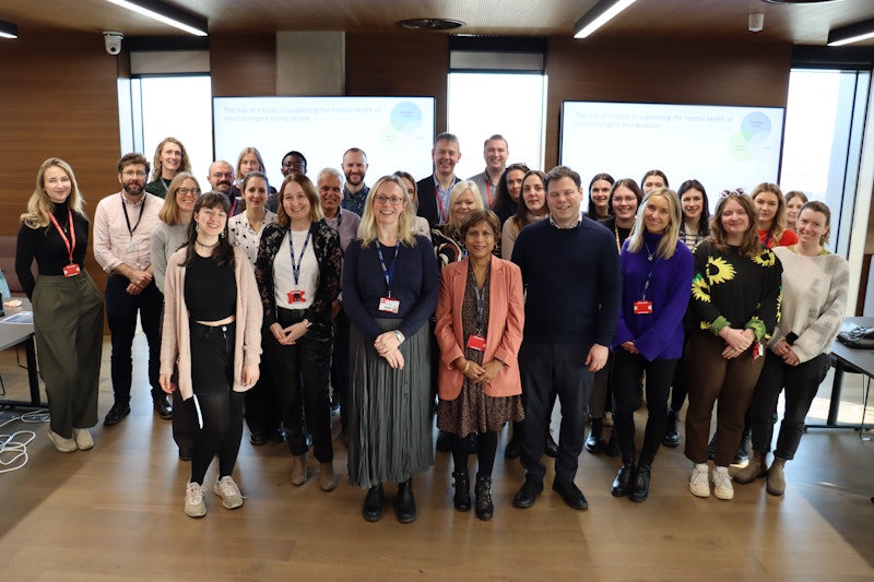 Our work - Wolfson Centre for Young People’s Mental Health - Cardiff ...