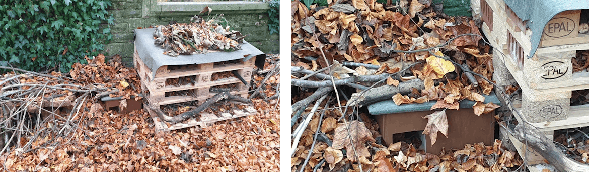 Cardiff University Section 6 Biodiversity Report 2022 - Cardiff University