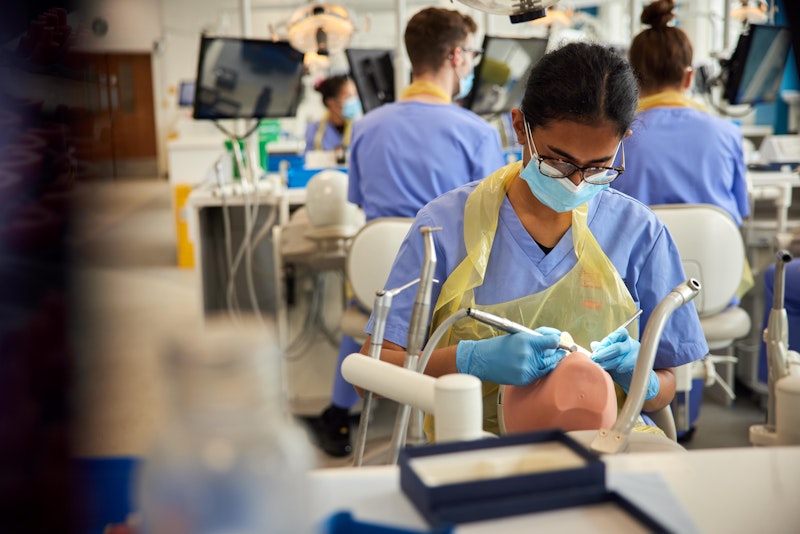 Dentistry - Study - Cardiff University