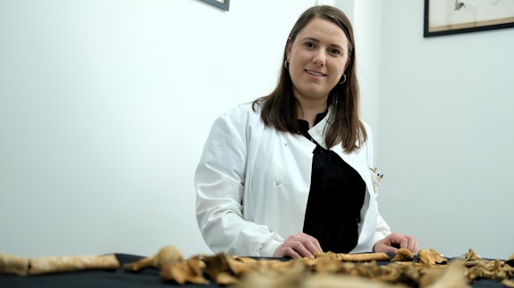 New clues uncovered from excavations at Fonmon Castle - News - Cardiff ...