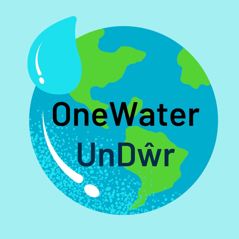 Water Research Institute - Cardiff University