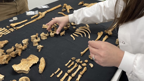 New clues uncovered from excavations at Fonmon Castle - News - Cardiff ...