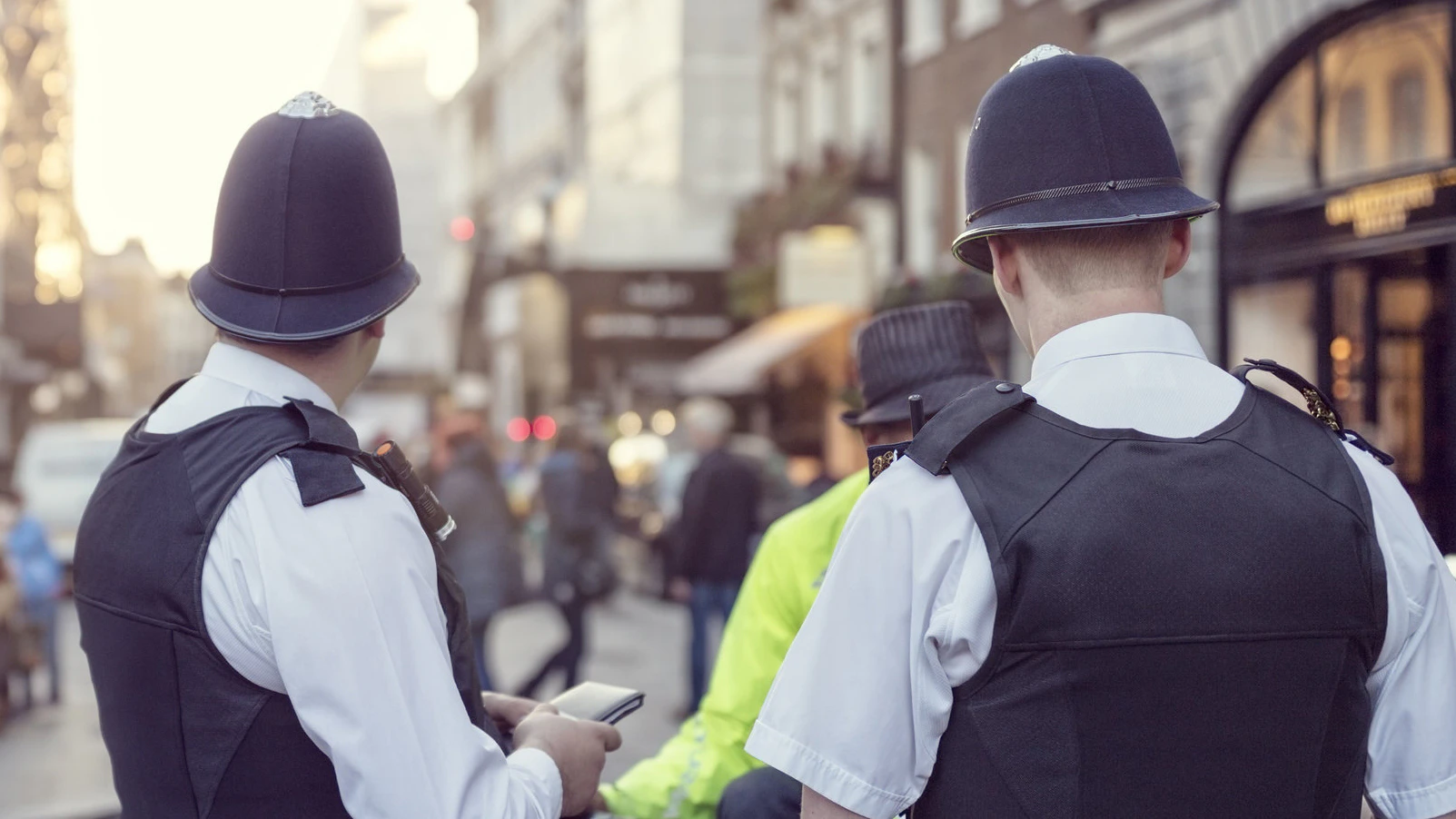 Universities’ Police Science Institute - Security, Crime, and ...