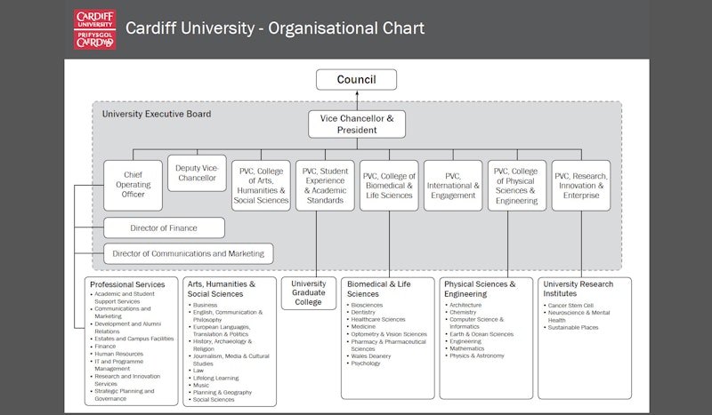Organisational structure - About - Cardiff University